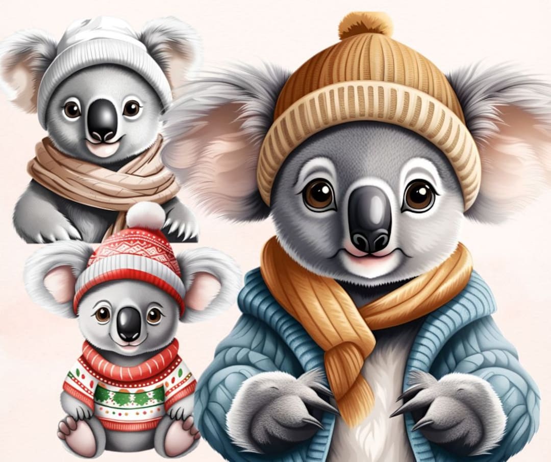 Winter Koala Clipart, Koala in a Hat, Aussie Witer PNG, Australian ...