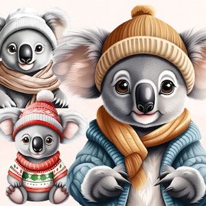 Winter Koala Clipart, Koala in a Hat, Aussie Witer PNG, Australian ...