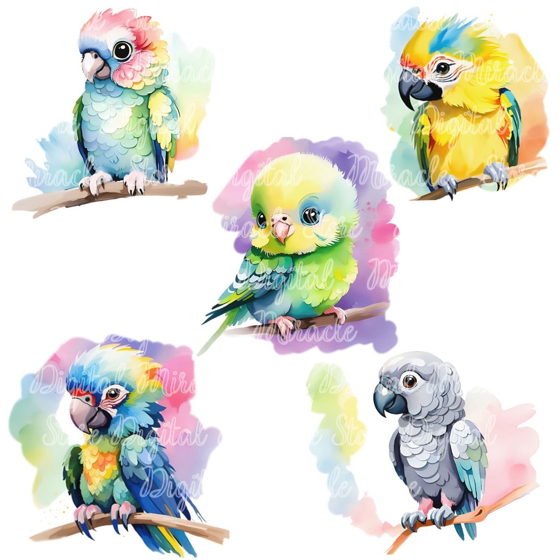 Cute Parrot Clipart, Parrot PNG, Parrot Clip Art, Parrot Watercolor ...