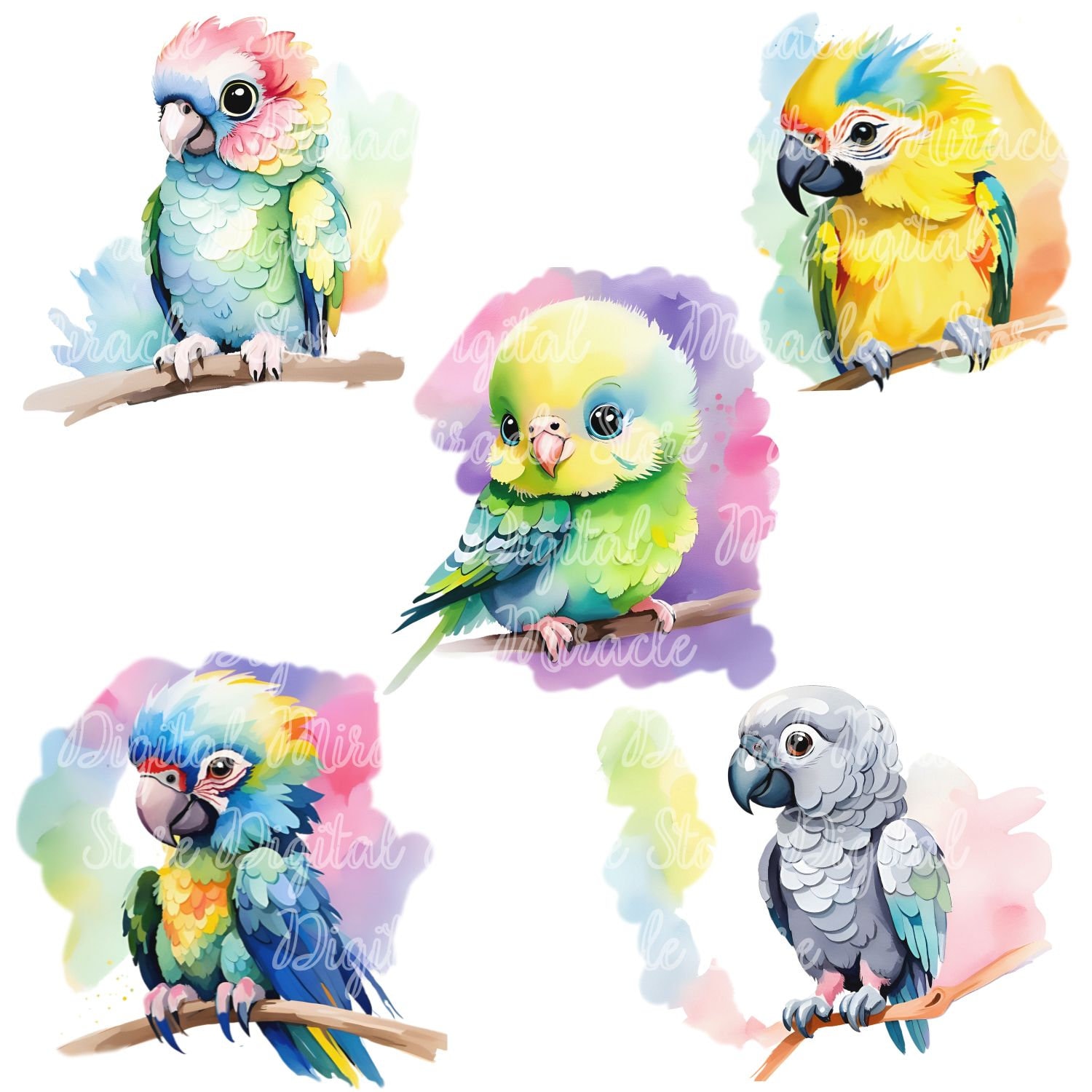 Cute Parrot Clipart Parrot Png Parrot Clip Art Parrot Watercolor Exotic Birds Clipart