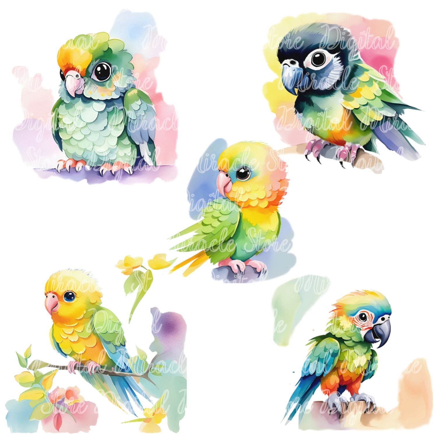 Cute Parrot Clipart, Parrot PNG, Parrot Clip Art, Parrot Watercolor ...