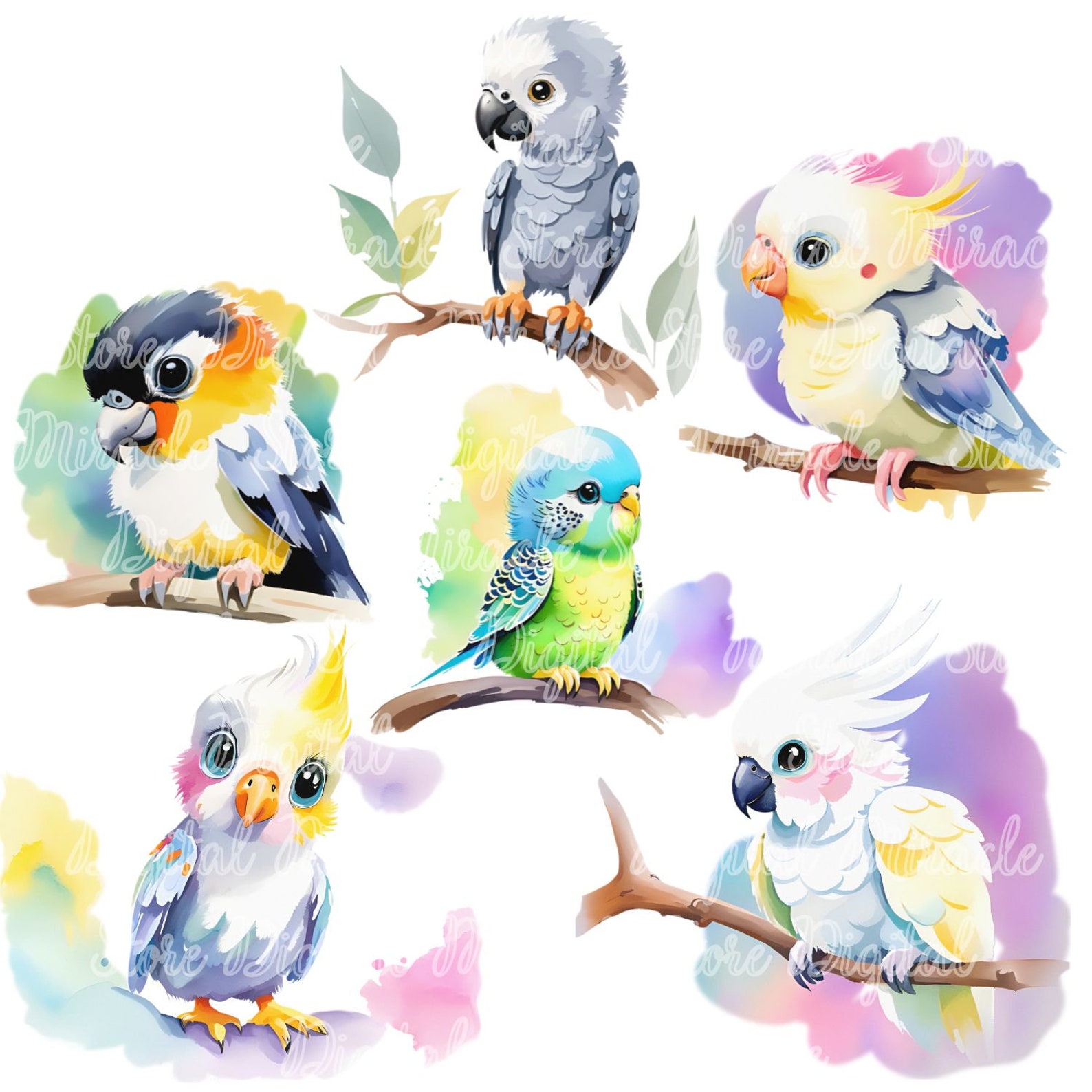 Cute Parrot Clipart, Parrot PNG, Parrot Clip Art, Parrot Watercolor ...