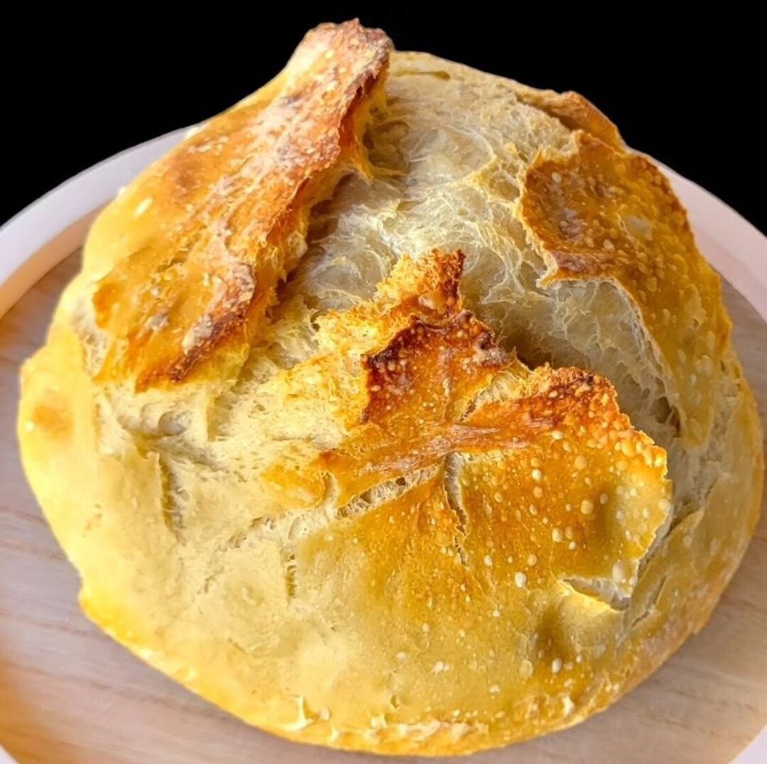 Sourdough Starter "fancy" - Etsy