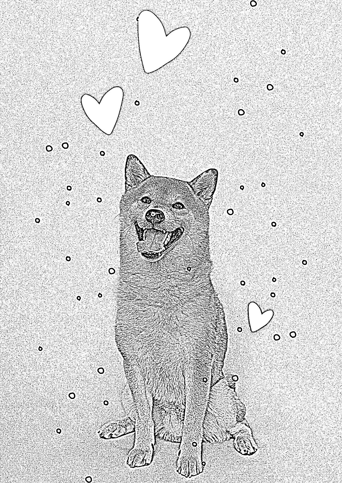 Different Types of Sketches for School Students Colour Page - Etsy