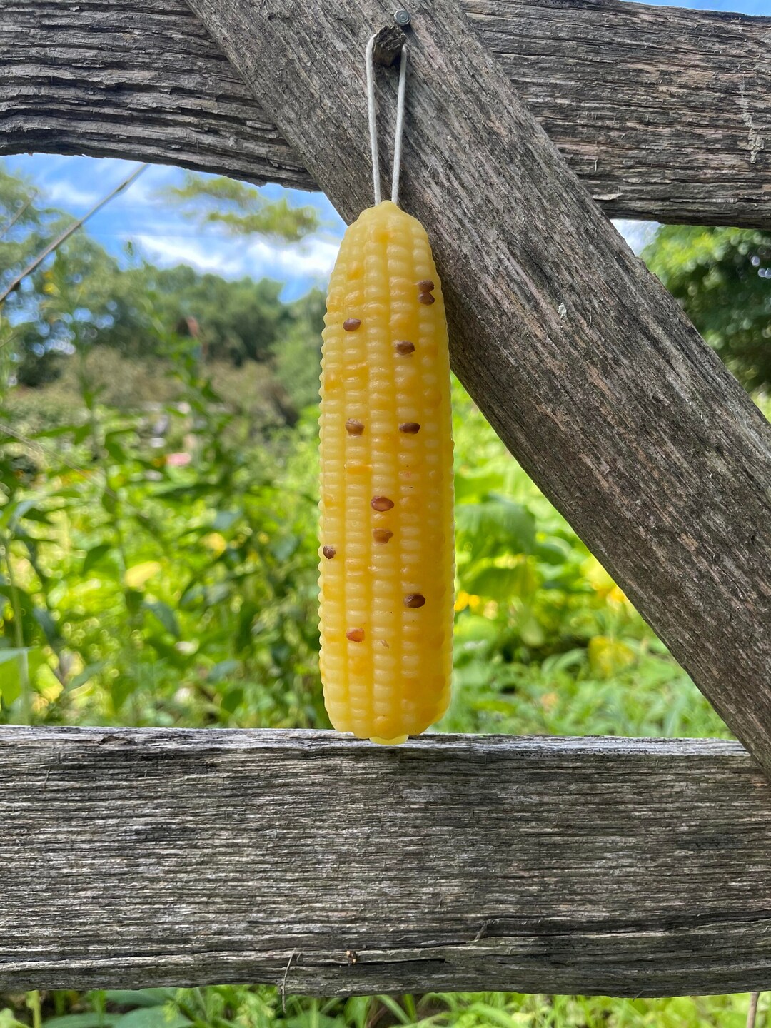 Pure Beeswax Indian Corn Decoration | Fall Home Decorations | Corncob ...