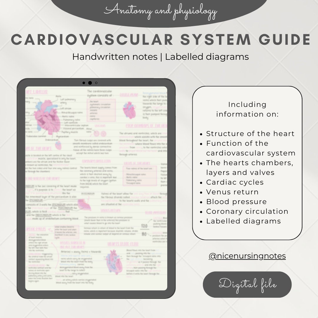 Anatomy and Physiology, Cardiovascular System Guide, Circulatory System ...