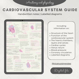Anatomy and Physiology, Cardiovascular System Guide, Circulatory System ...