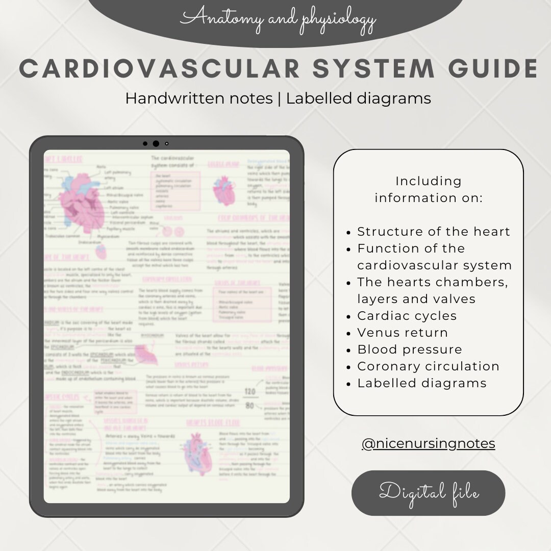 Anatomy and Physiology, Cardiovascular System Guide, Circulatory System ...