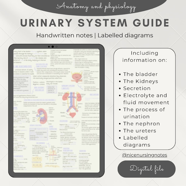 Nursing Diagrams - Etsy