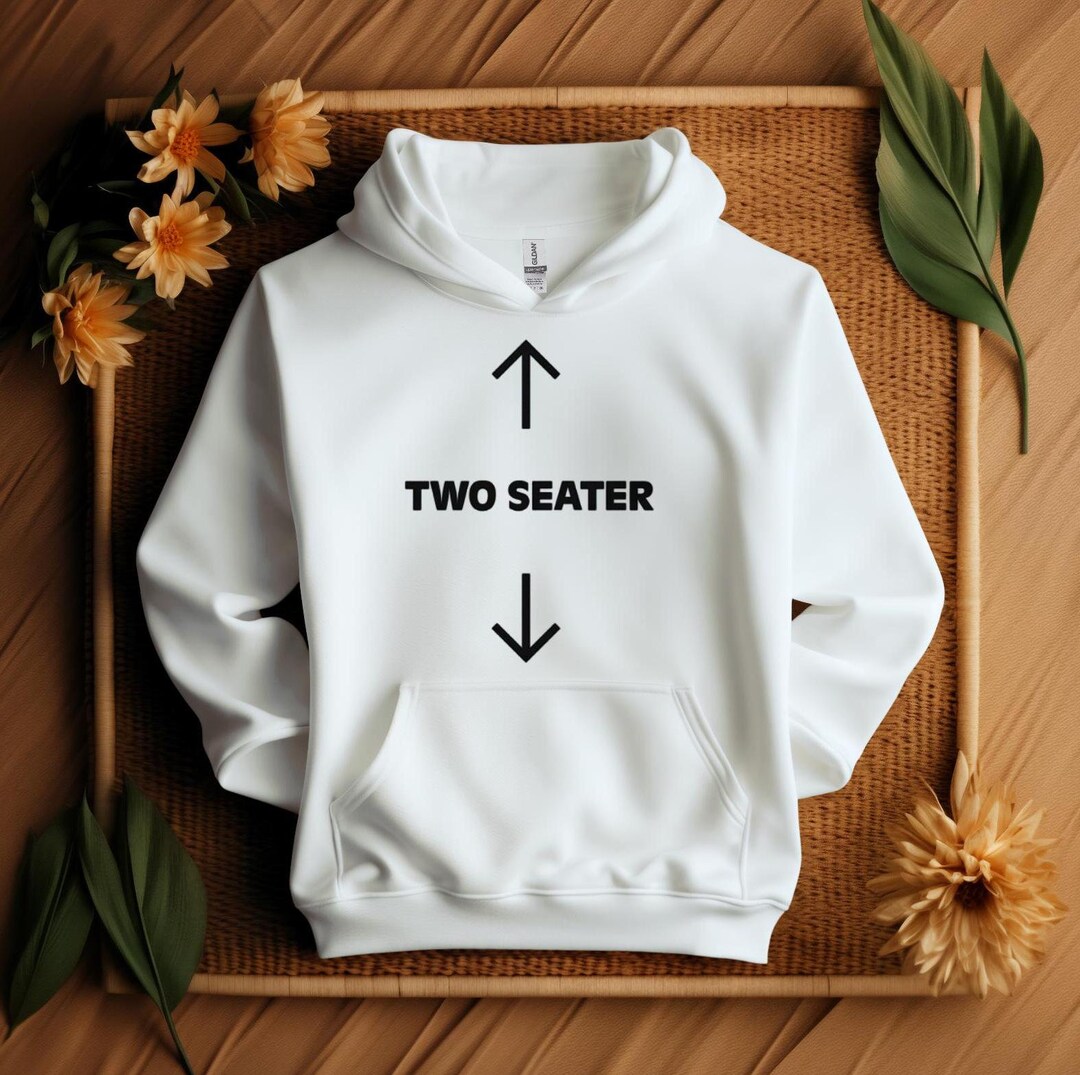 Two Seater Meme Shirt, Funny Saying Shirts, Sarcastic Tee, Offensive ...