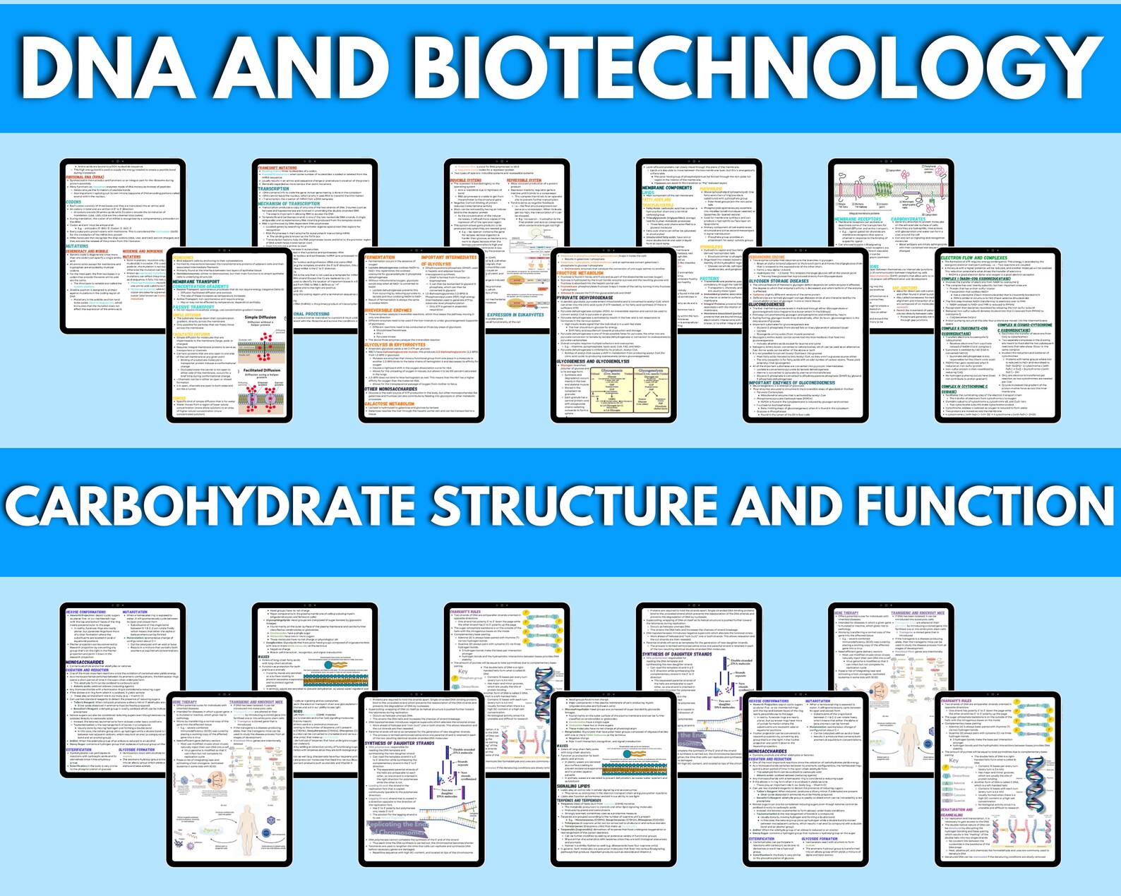 MCAT Biochemistry Study Notes Bundle With Question and Answers! - Etsy