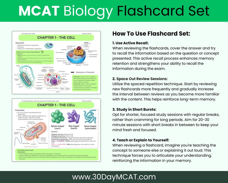 MCAT Biology Flashcard Set - Etsy