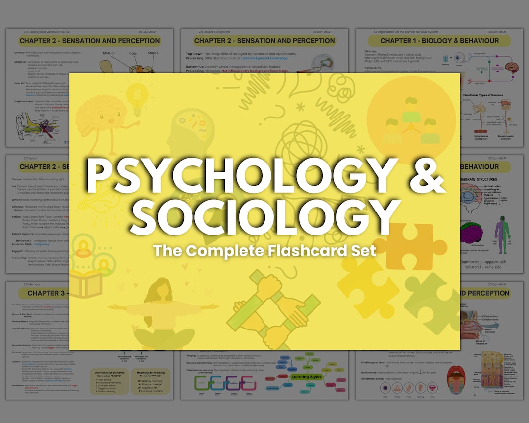 MCAT Psychology & Sociology Flashcard Set - Etsy