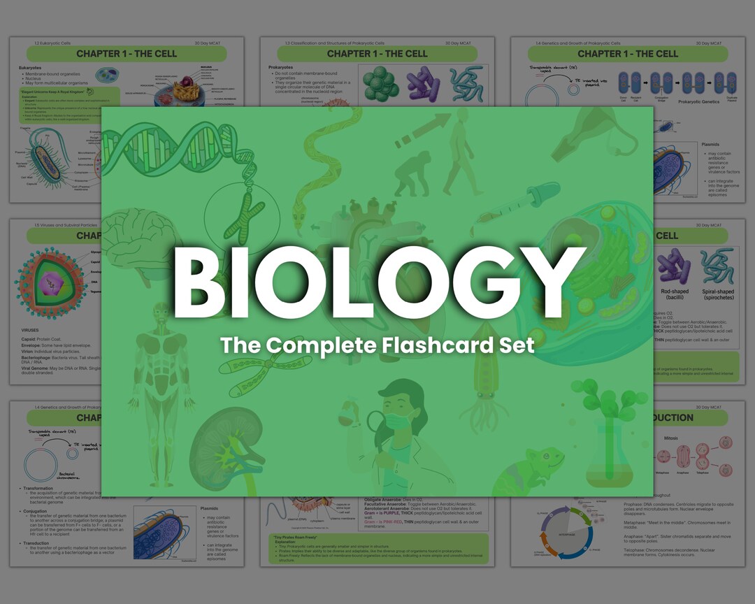 MCAT Biology Flashcard Set - Etsy