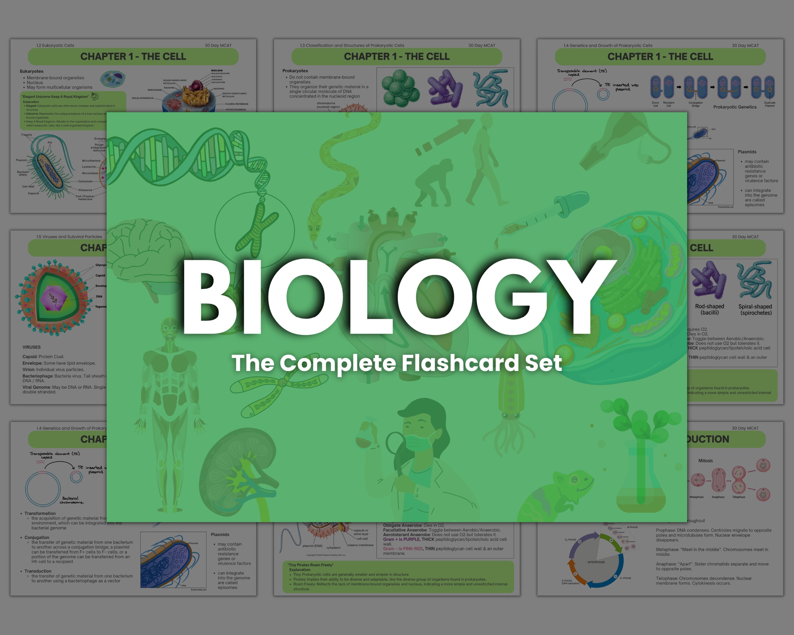 MCAT Biology Flashcard Set - Etsy