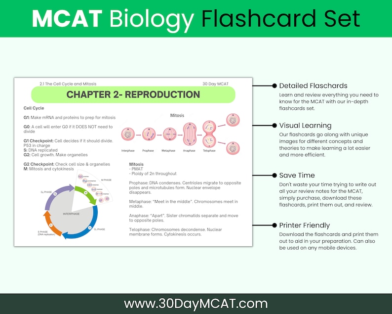 MCAT Biology Flashcard Set - Etsy