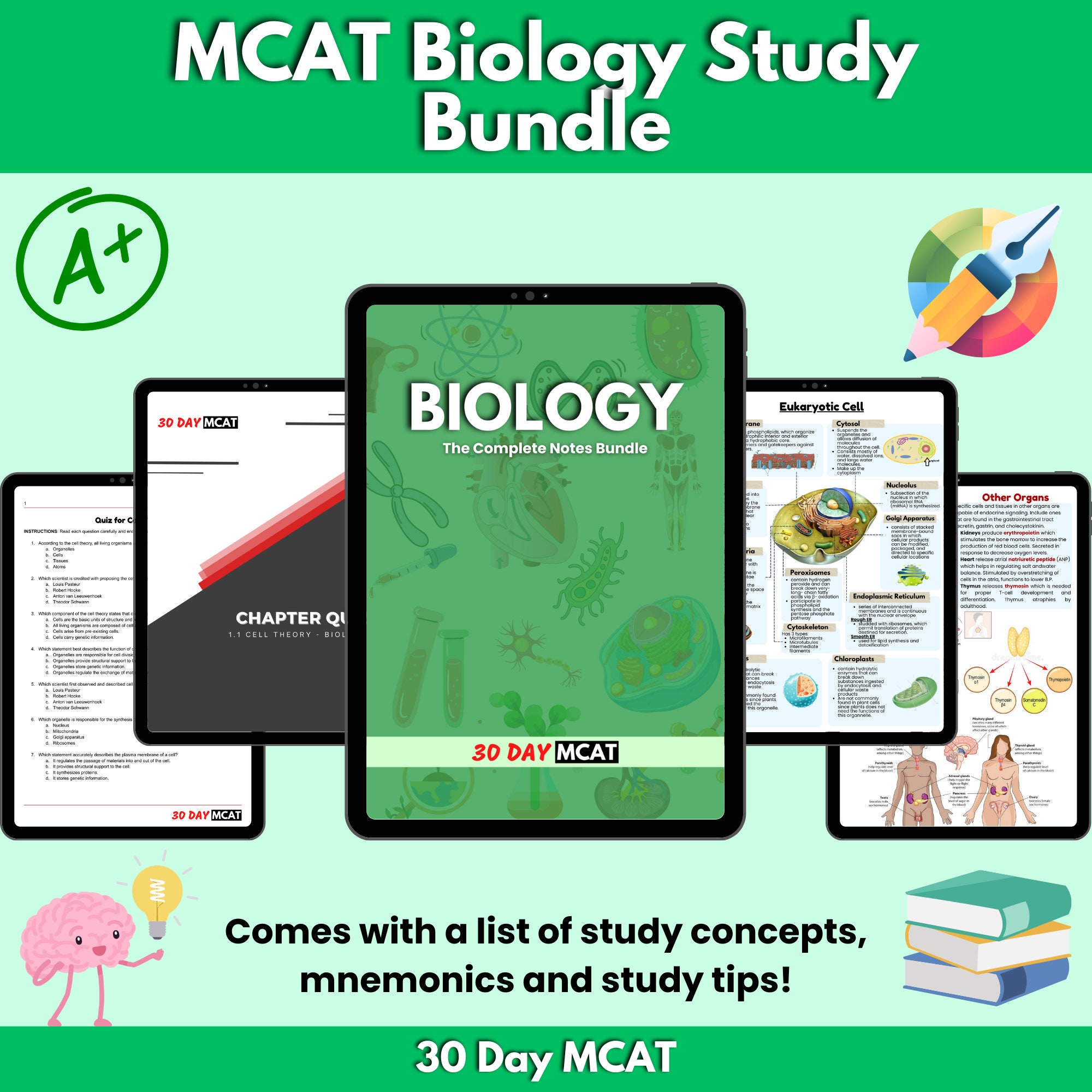 MCAT Biology Study Notes Bundle With Question and Answers! - Etsy