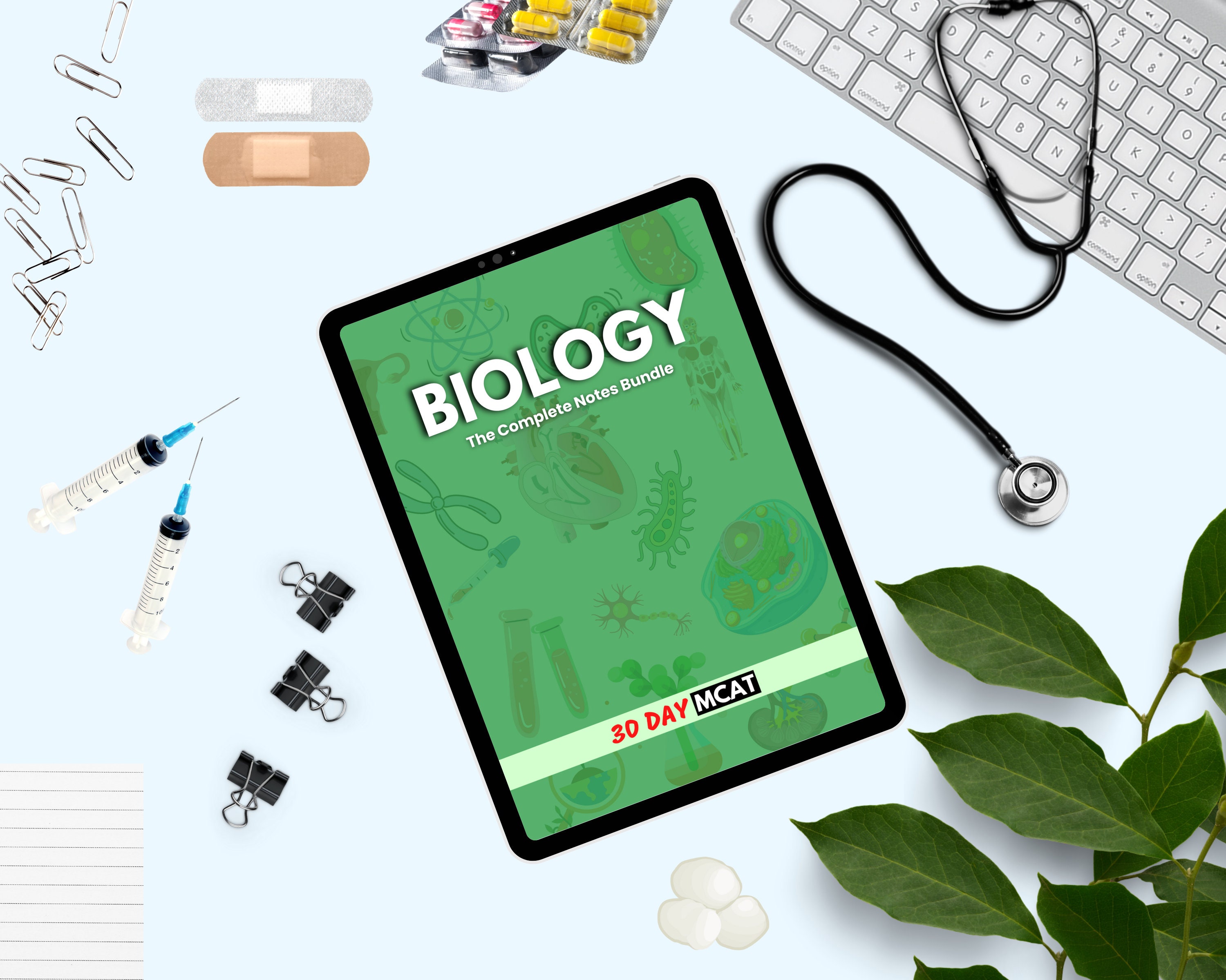 MCAT Biology Study Notes Bundle With Question and Answers! - Etsy