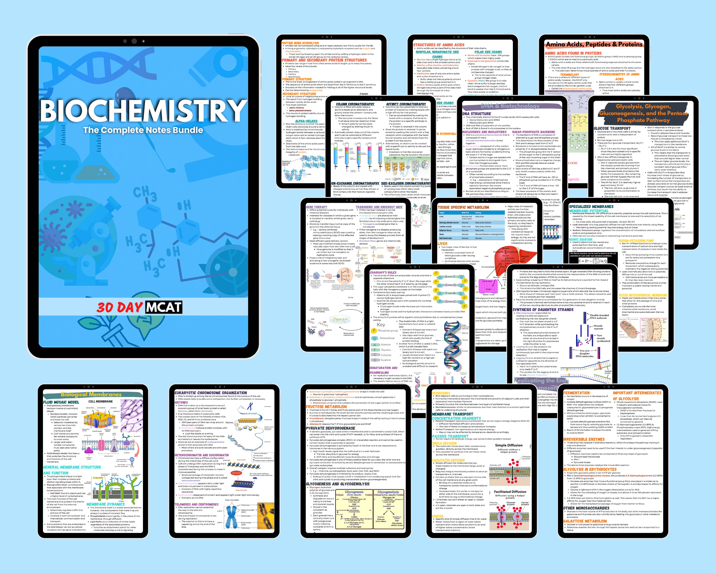 MCAT Biochemistry Study Notes Bundle With Question and Answers! - Etsy