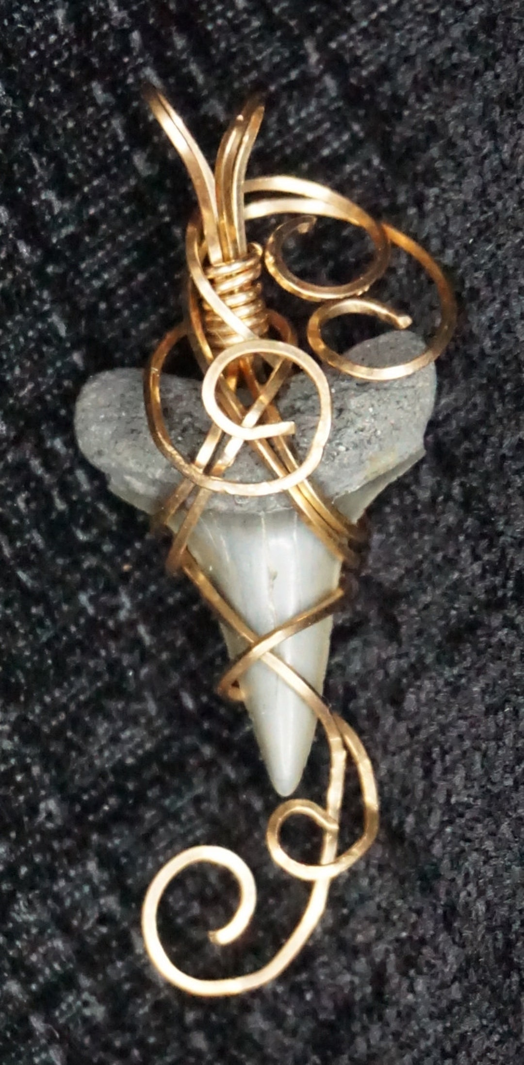 Bronze Wire Wrapped Shark Tooth Pendant - Etsy