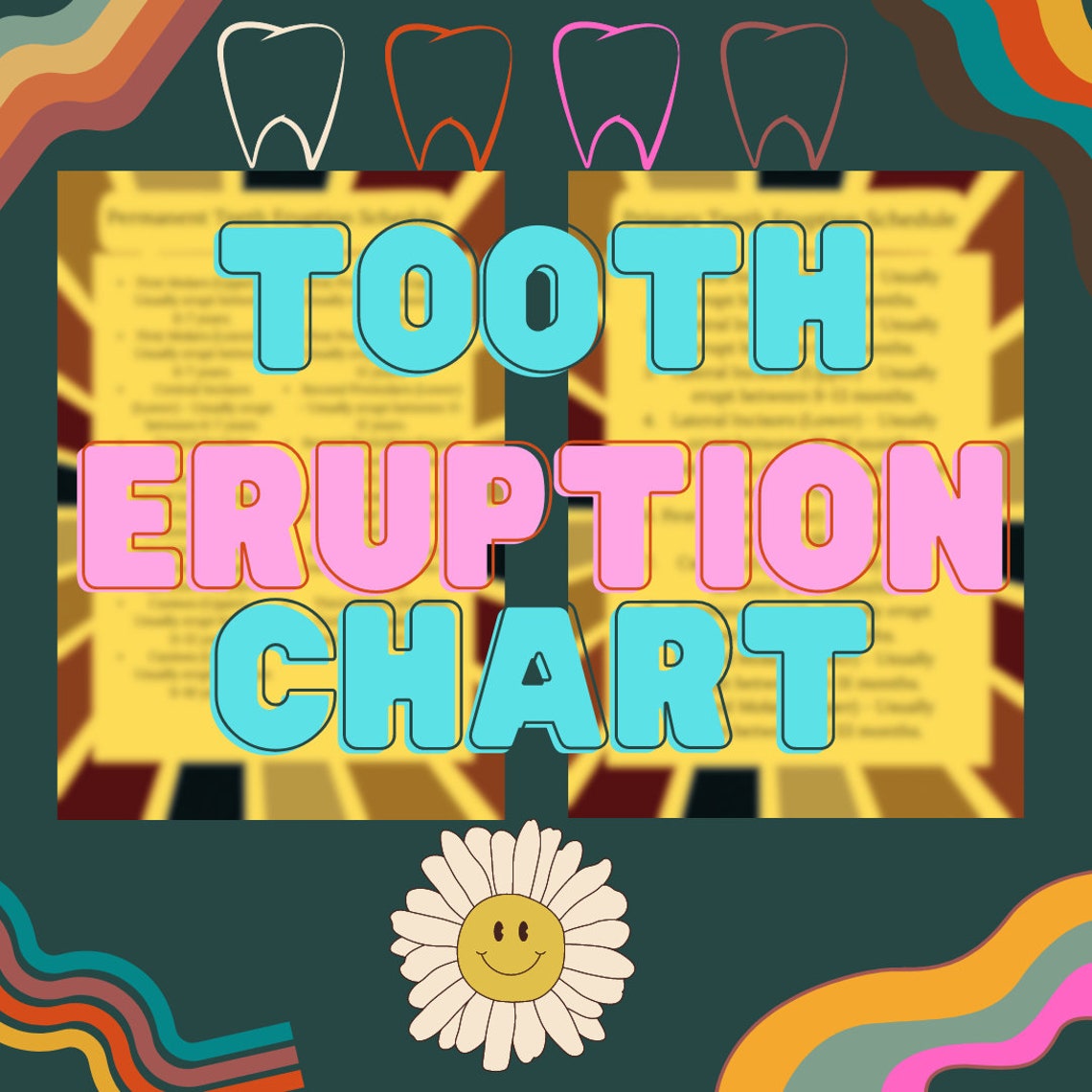 Tooth Eruption Chart Dental Hygiene Student Study Guide - Etsy