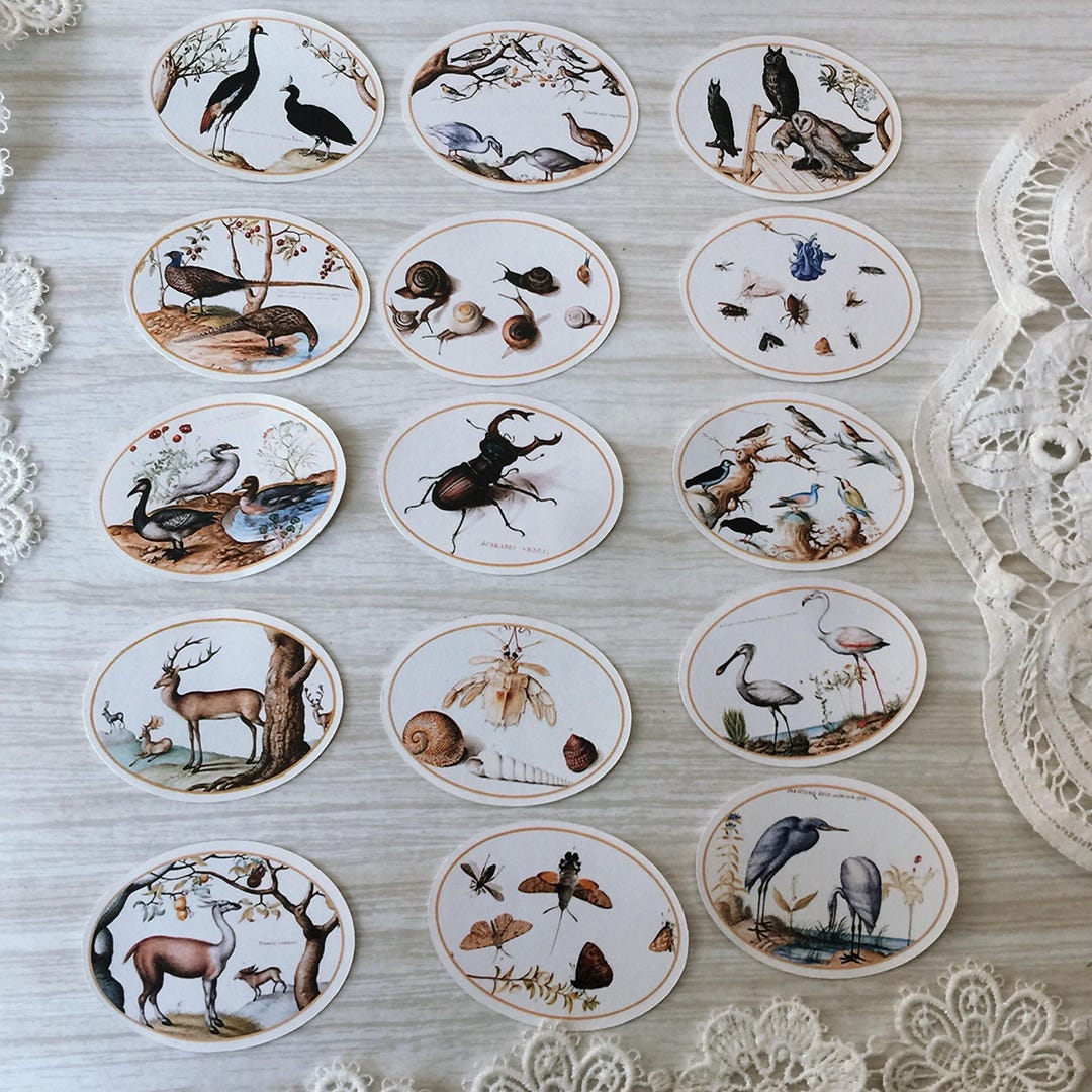 Vintage Zoology Sticker Set / Junk Art Journal Sticker Set / Antique ...