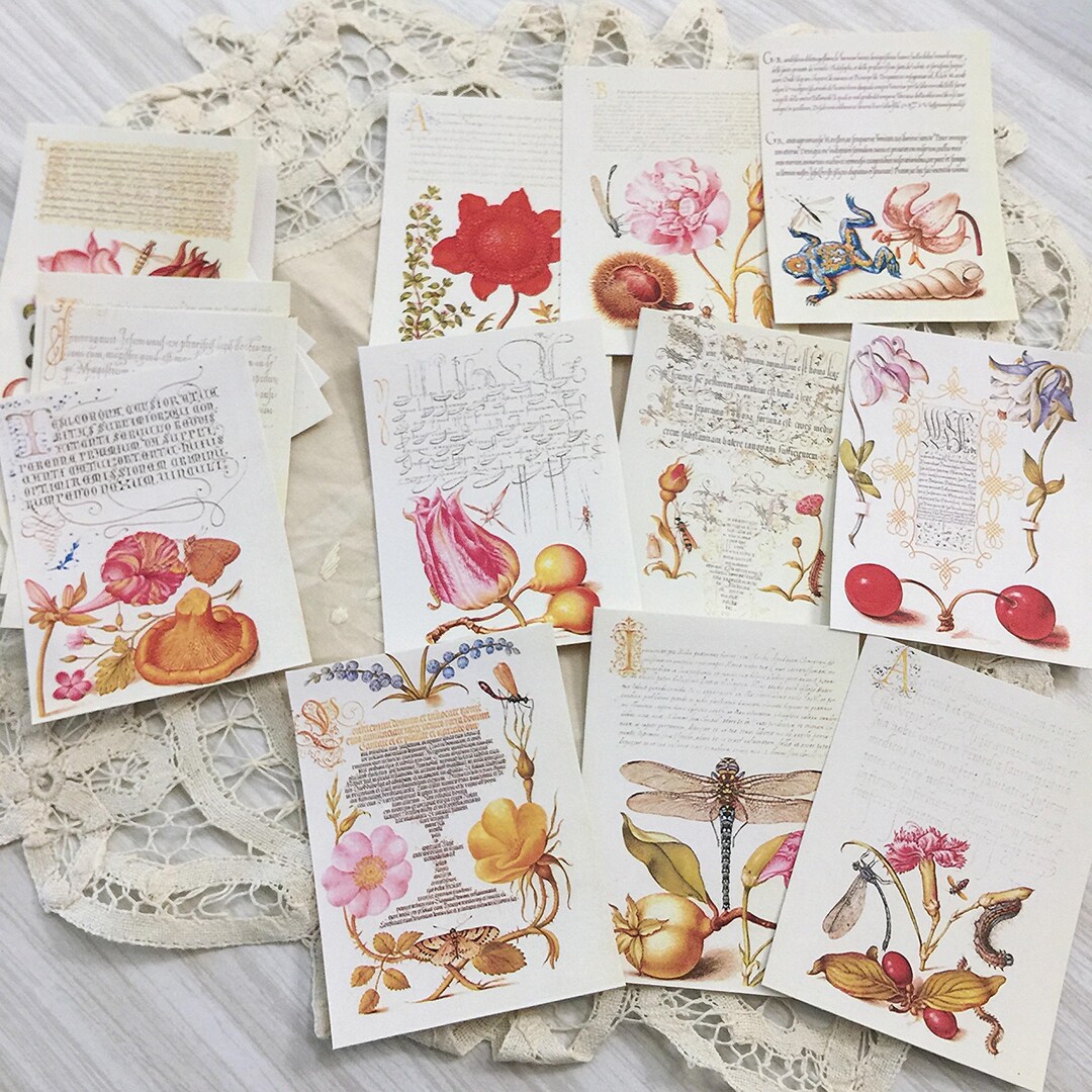 Vintage Botanical Calligraphy Illustrations Sticker Set / Junk Art ...