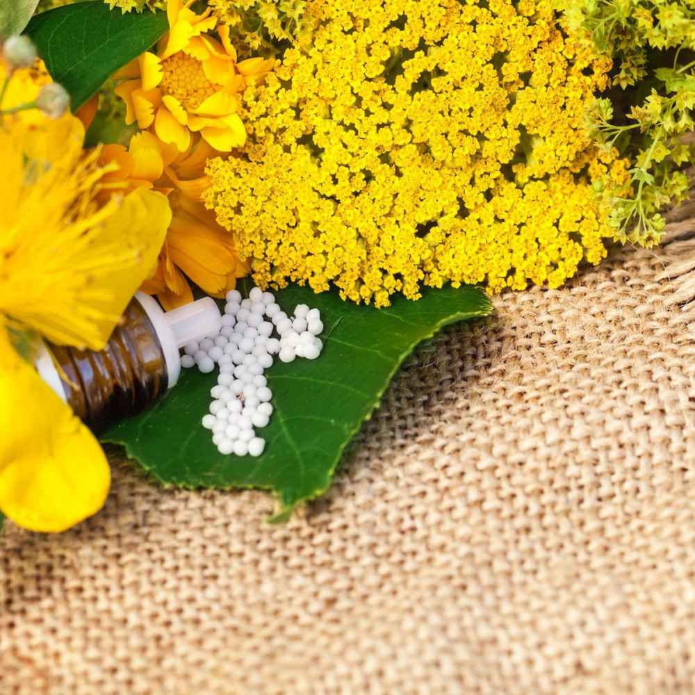 Yarrow Seeds | Dwarf Ground Cover Seed - 2000 Seeds - Etsy