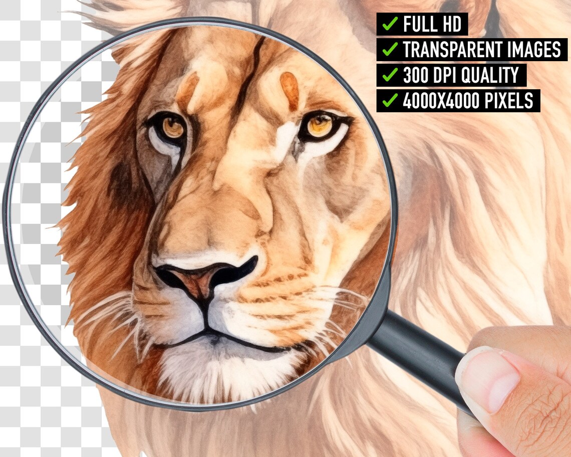 Watercolor Safari Animals Clipart Safari Clip Art Lion, Zebra, Hippo ...