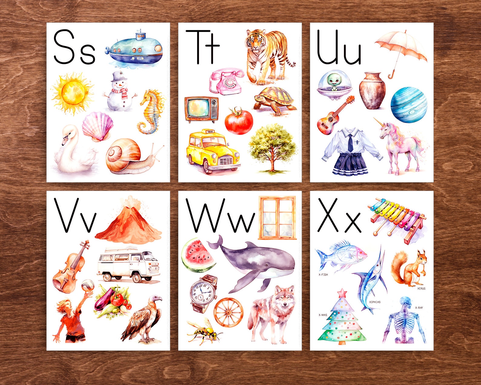 Montessori Cards for Toddlers, Large Format, for the Classroom ...