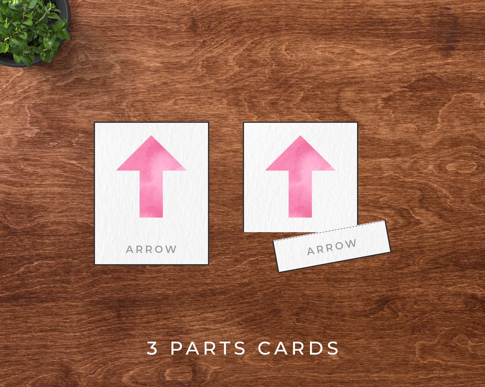 GEOMETRIC SHAPES Flash Cards, Preschool Materials, Homeschool ...