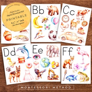 Montessori Cards for Toddlers, Large Format, for the Classroom ...