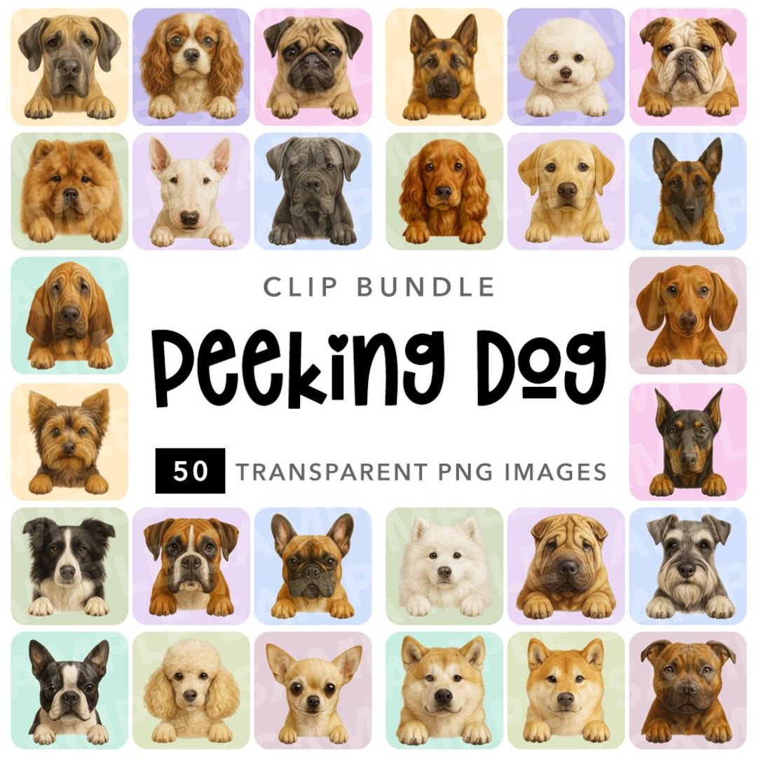 Dog Face PNG Transparent, 50 Dog Breeds, Dogs Peeking Out, Cute Dog PNG ...