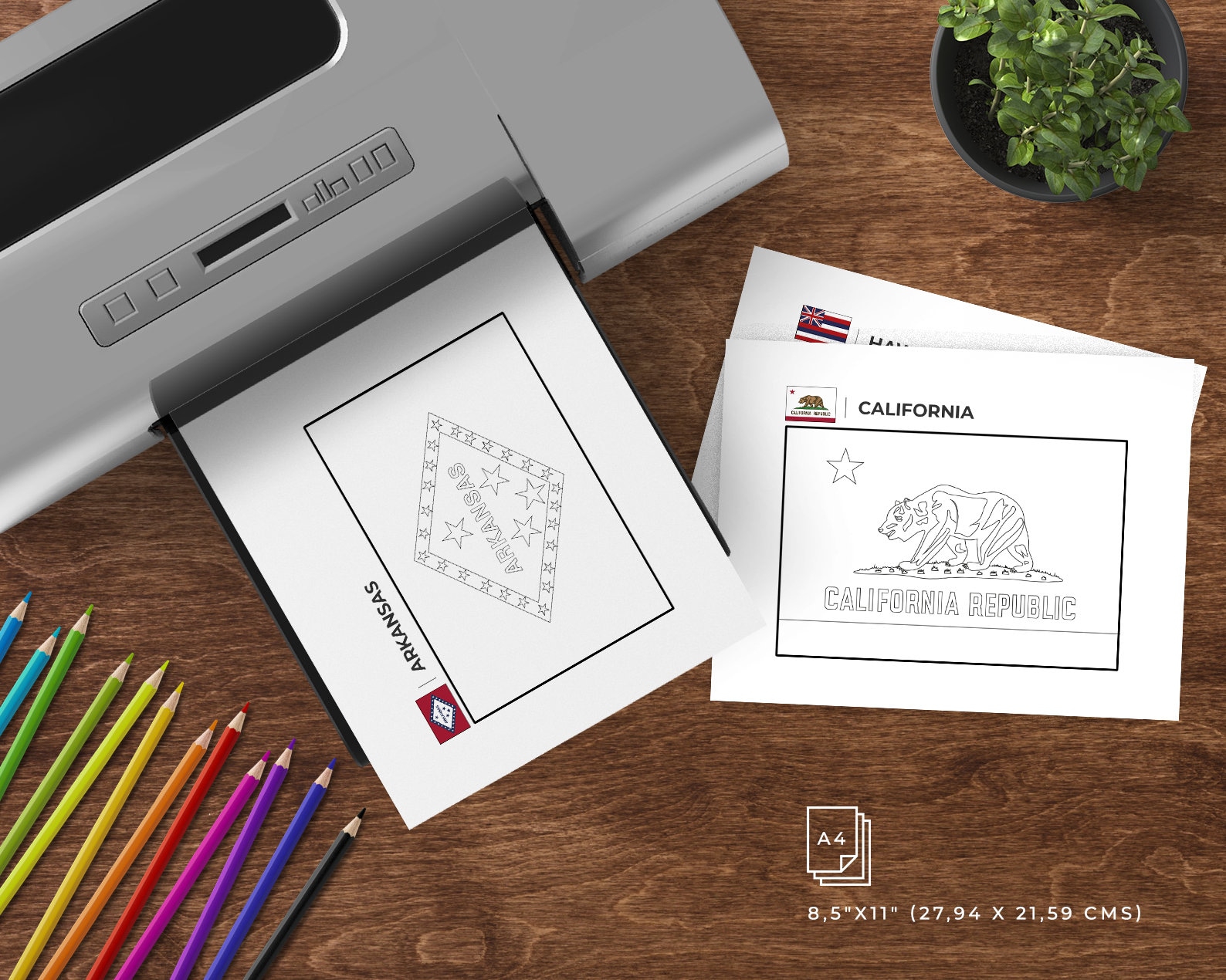 US State Flags Coloring Pages, USA State Flags, Homeschool Geography ...