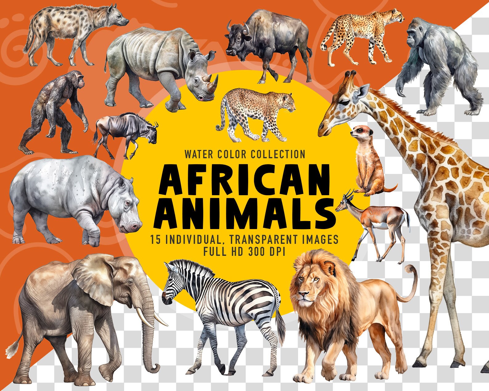 Watercolor Safari Animals Clipart Safari Clip Art Lion, Zebra, Hippo ...