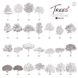 50 Trees Drawing Stamp Brush Set for Procreate Volume 2 : Landscape ...