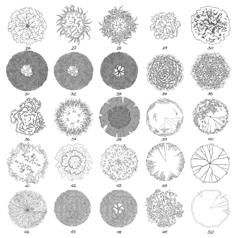 50 Tree Plan Stamp Brush Sets for Procreate: Tree Plan Series - Etsy