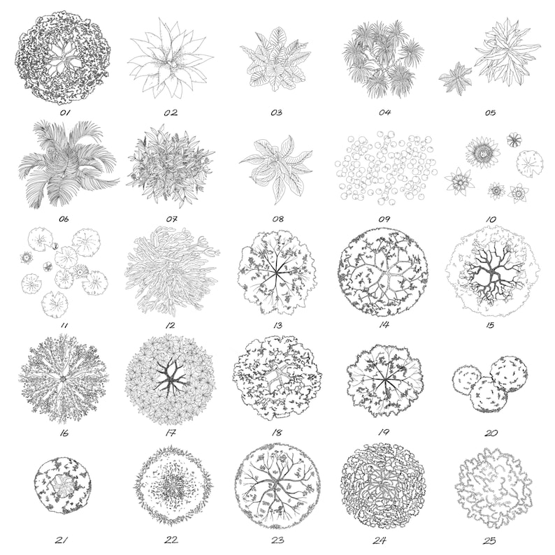 50 Tree Plan Stamp Brush Sets for Procreate: Tree Plan Series - Etsy