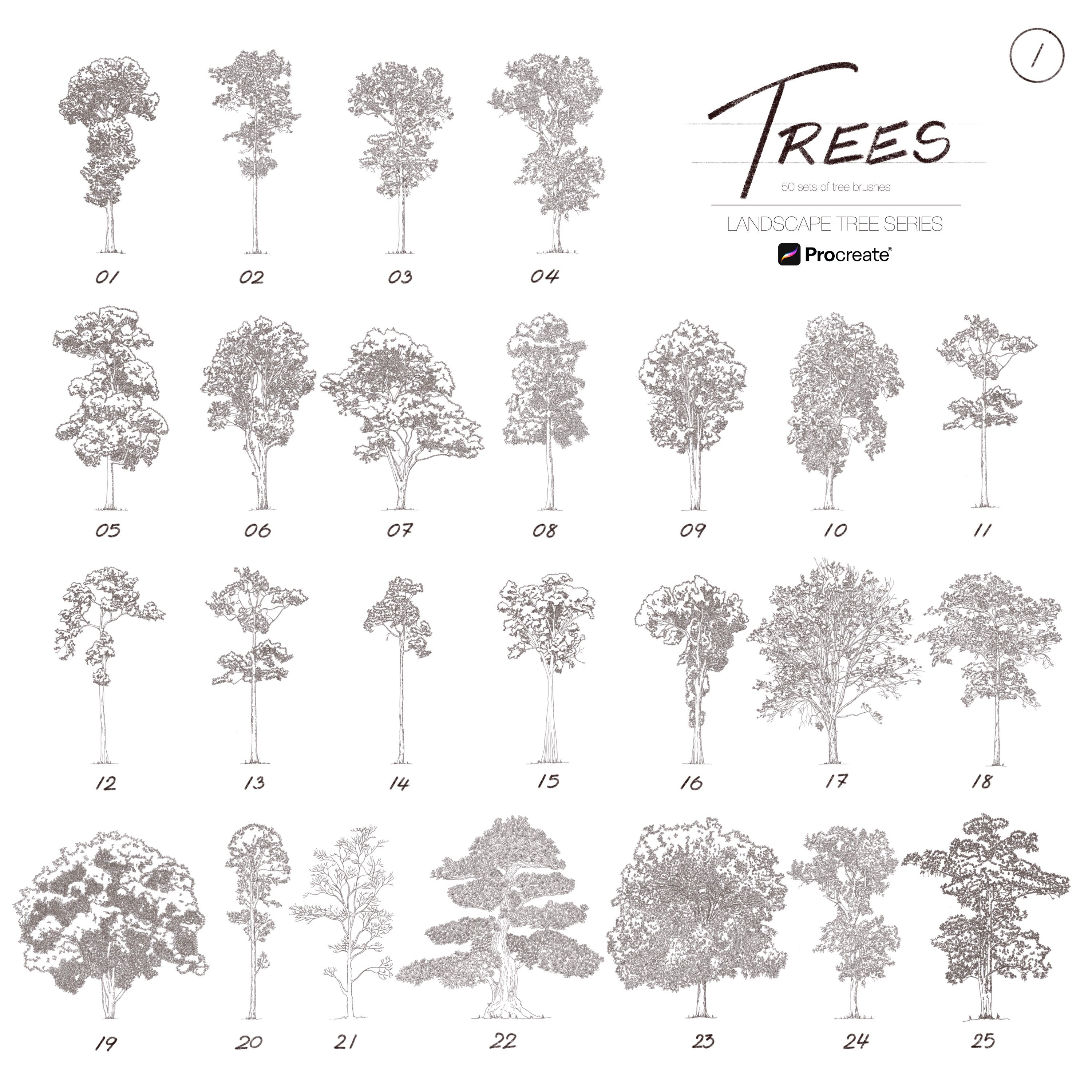 50 Trees Drawing Stamp Brush Set for Procreate : Landscape Tree Series ...