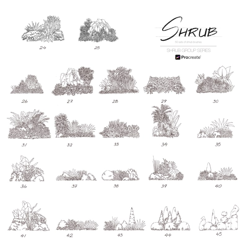 50 Bushes, Shrubs Group Drawing Stamp Brush for Procreate : Landscape ...