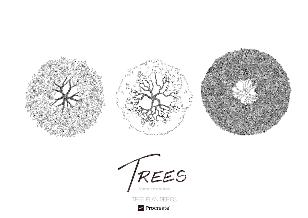 50 Tree Plan Stamp Brush Sets for Procreate: Tree Plan Series - Etsy
