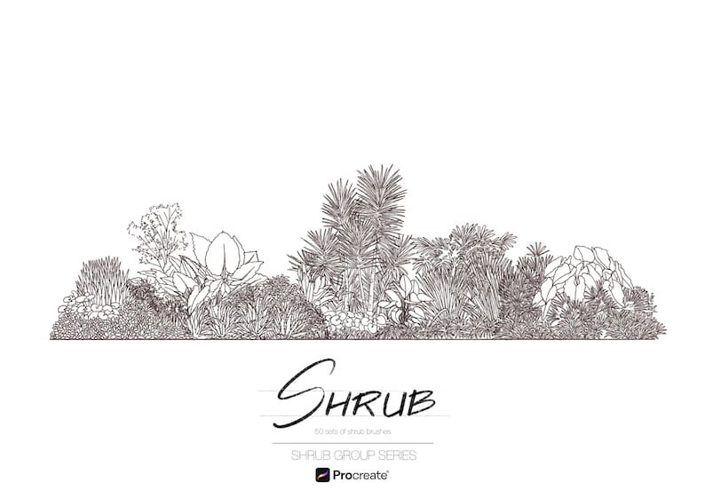 50 Bushes, Shrubs Group Drawing Stamp Brush for Procreate : Landscape Shrub Series - Etsy