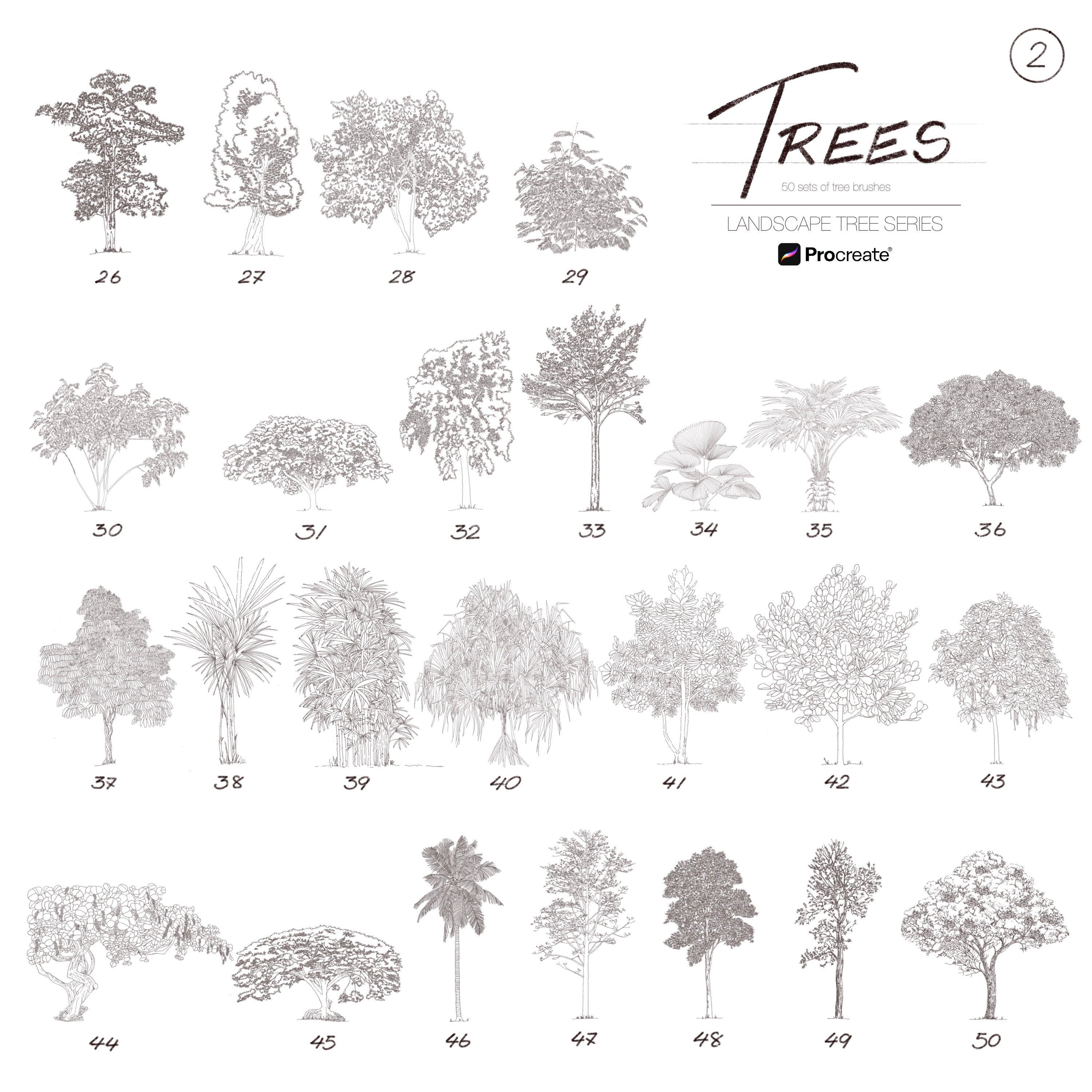 50 Trees Drawing Stamp Brush Set for Procreate : Landscape Tree Series ...