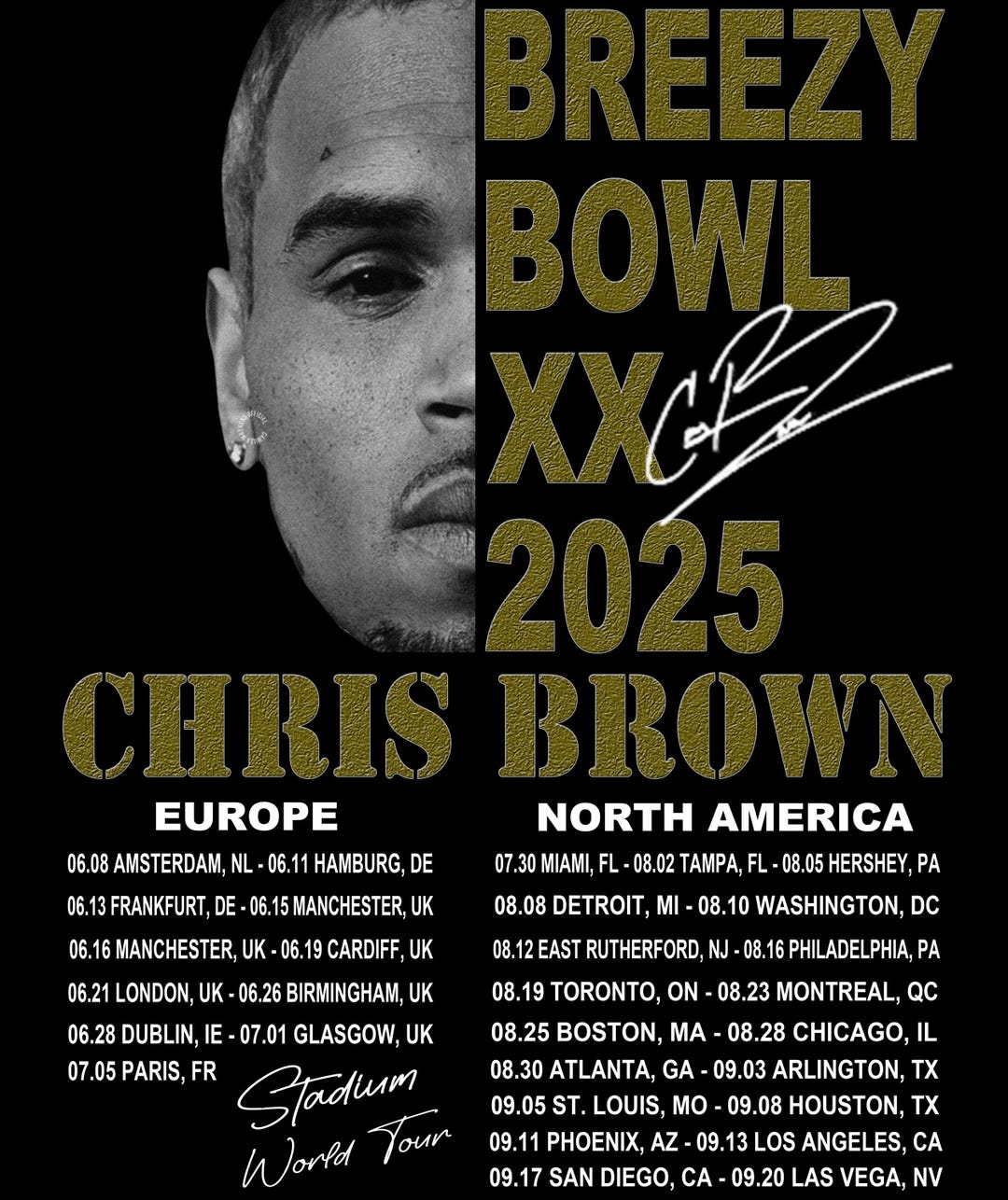 Chris Brown PNG File, Breezy Bowl XX Digital File, Chris Brown Tour PNG ...