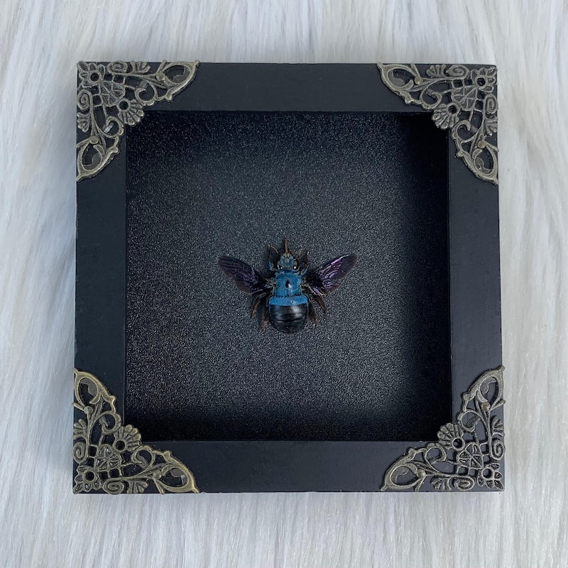 Bee Shadow Box - Etsy