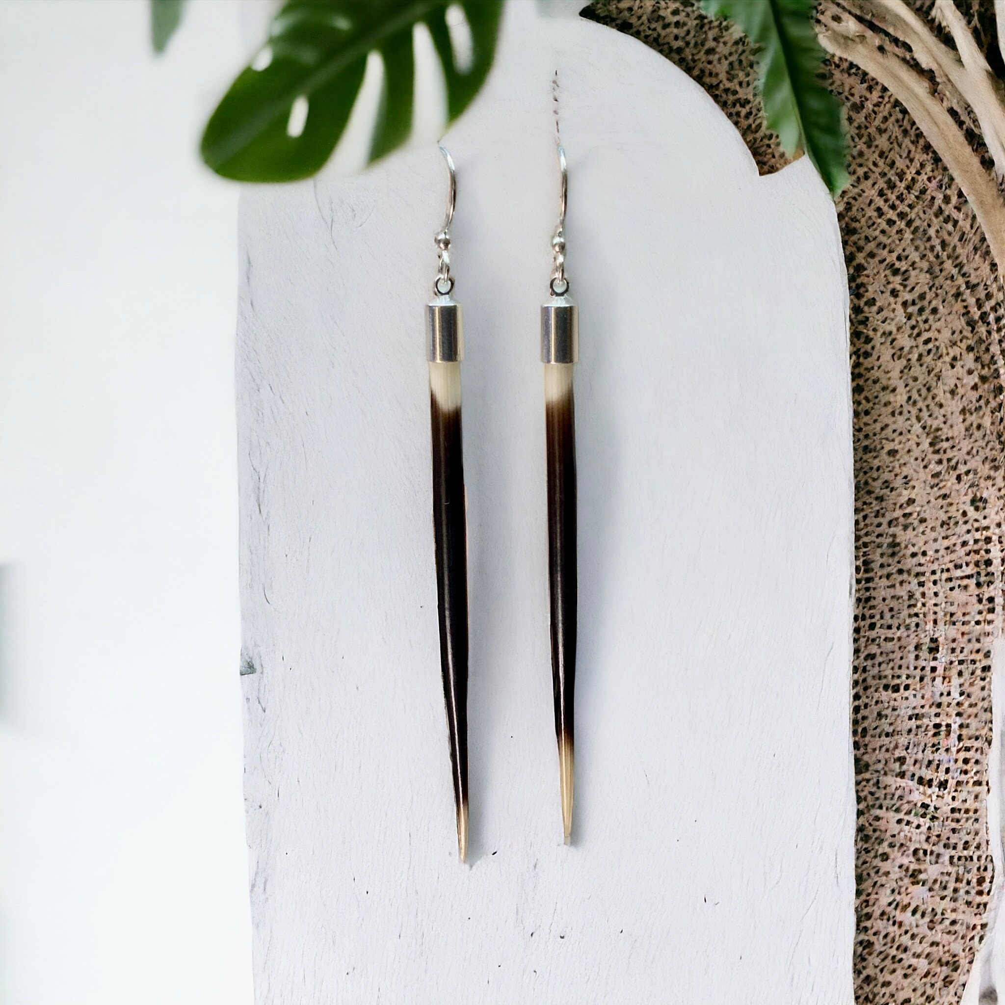 Porcupine Quill Earrings/ African Quills /sterling Silver Findings ...