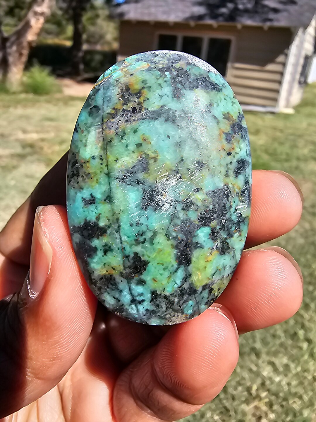 African Turquoise Palm Stone - Etsy
