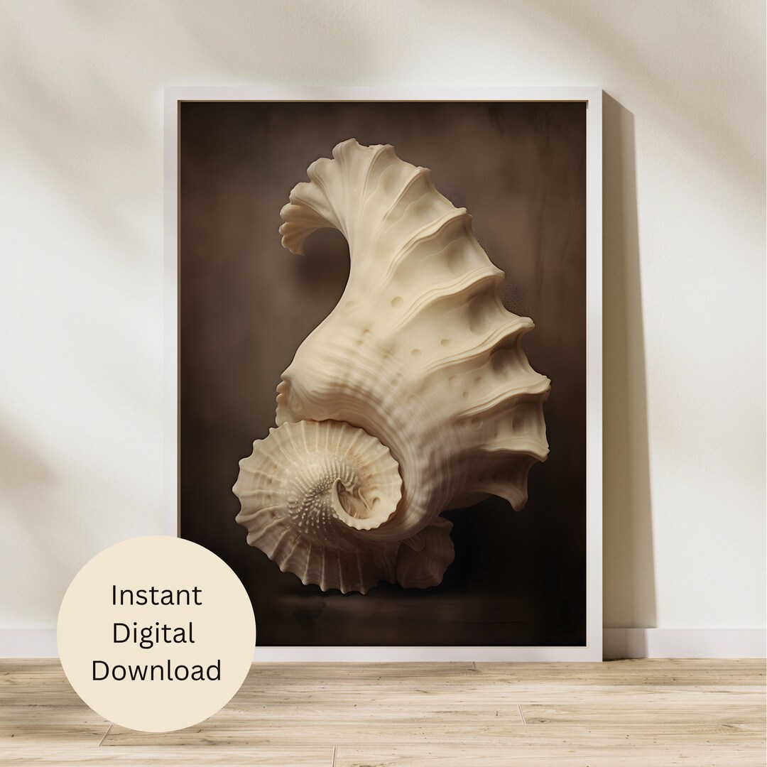 Antique Conch Shell Sea Life Wall Art, Sacred Geometry, Golden Ratio ...