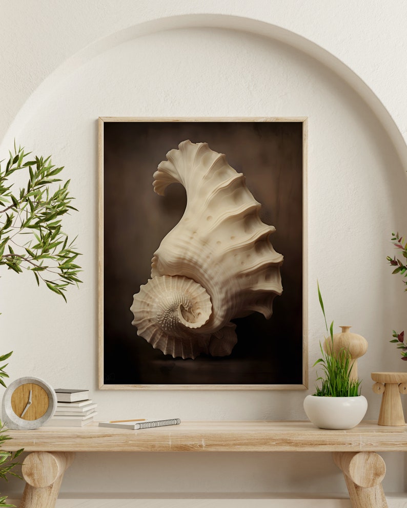 Antique Conch Shell Sea Life Wall Art, Sacred Geometry, Golden Ratio, Vintage Art Print ...