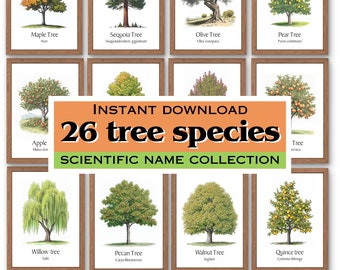 26 Tree Species With Name and Scientific Name, Botanical Wall Art ...
